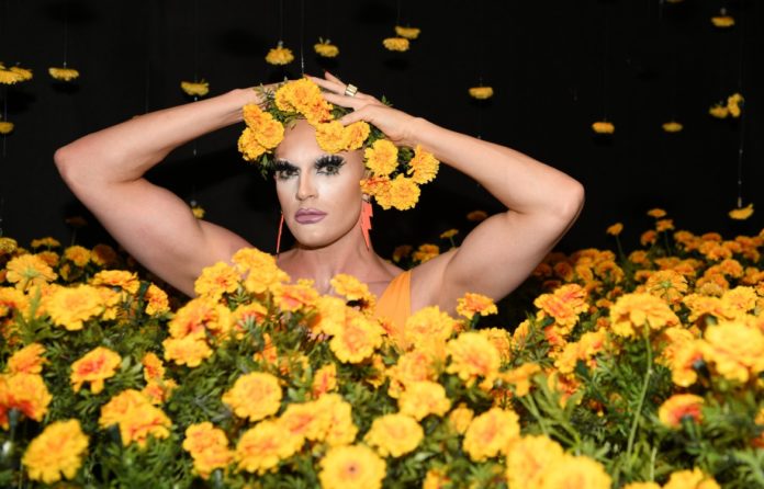 Finding Their Happy Place - The Kiwi Queens Of RuPaul’s Drag Race Down ...