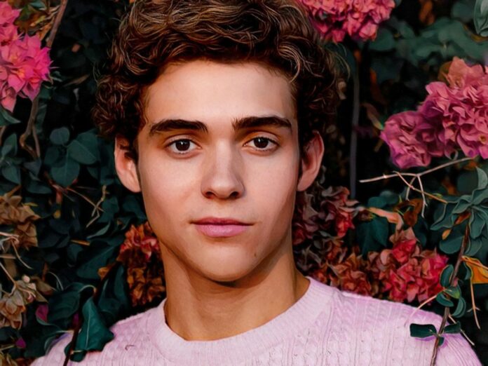 Disney Star Joshua Bassett Opens Up About Coming-Out And Homophobia ...