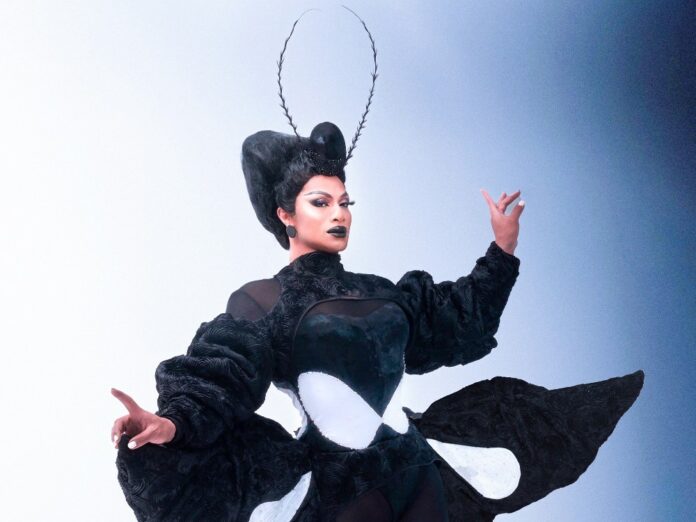 Kween Kong: Pioneering Pasifika Excellence - YOUR EX