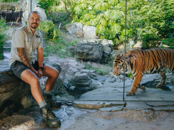 Nick Parashchak: Auckland Zoo’s Wild Hero - YOUR EX