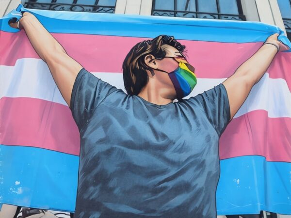 Bid to Create World’s Largest Trans Flag to Support Trans Youth ...